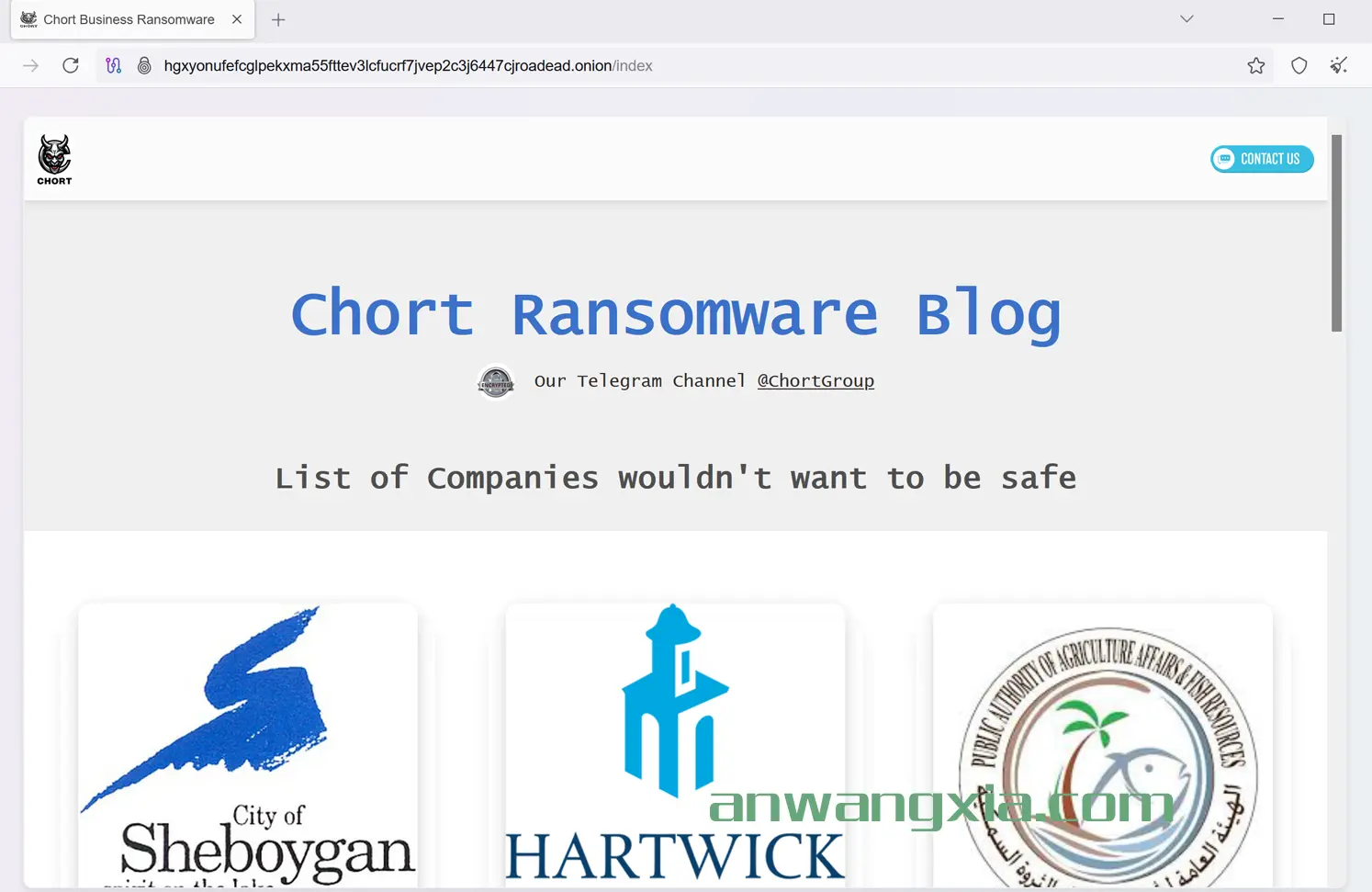最新出现的暗网勒索软件团伙Chort已经在其暗网泄密网站公布了7个受害者 - 暗网下