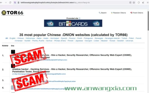 9个仍然在线的最佳暗网搜索引擎与暗网导航，适用于Tor浏览器（2022） - 暗网下